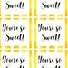 Bee Theme Teacher and Staff Appreciation Week Flyer Editable Printable ...