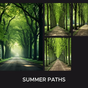 15 Wooded Path Backdrops Bundle Photoshop Overlays - Etsy