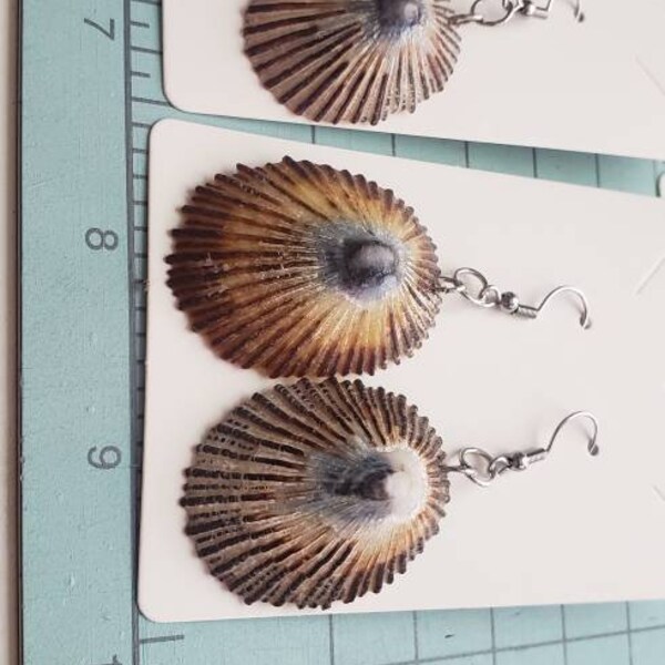 Opihi Jewelry - Etsy