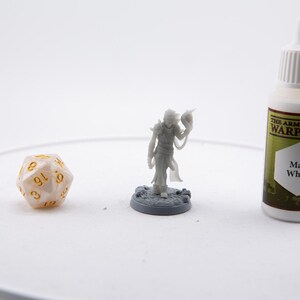 Human Female Wizard - 28mm Scale - D&D - Hero Quest - Warrior - TTRPG - 32mm Miniature ...