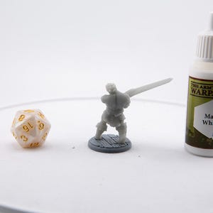 Human Male Barbarian - 28mm Scale - D&D - Hero Quest - Warrior - TTRPG - 32mm Miniature ...