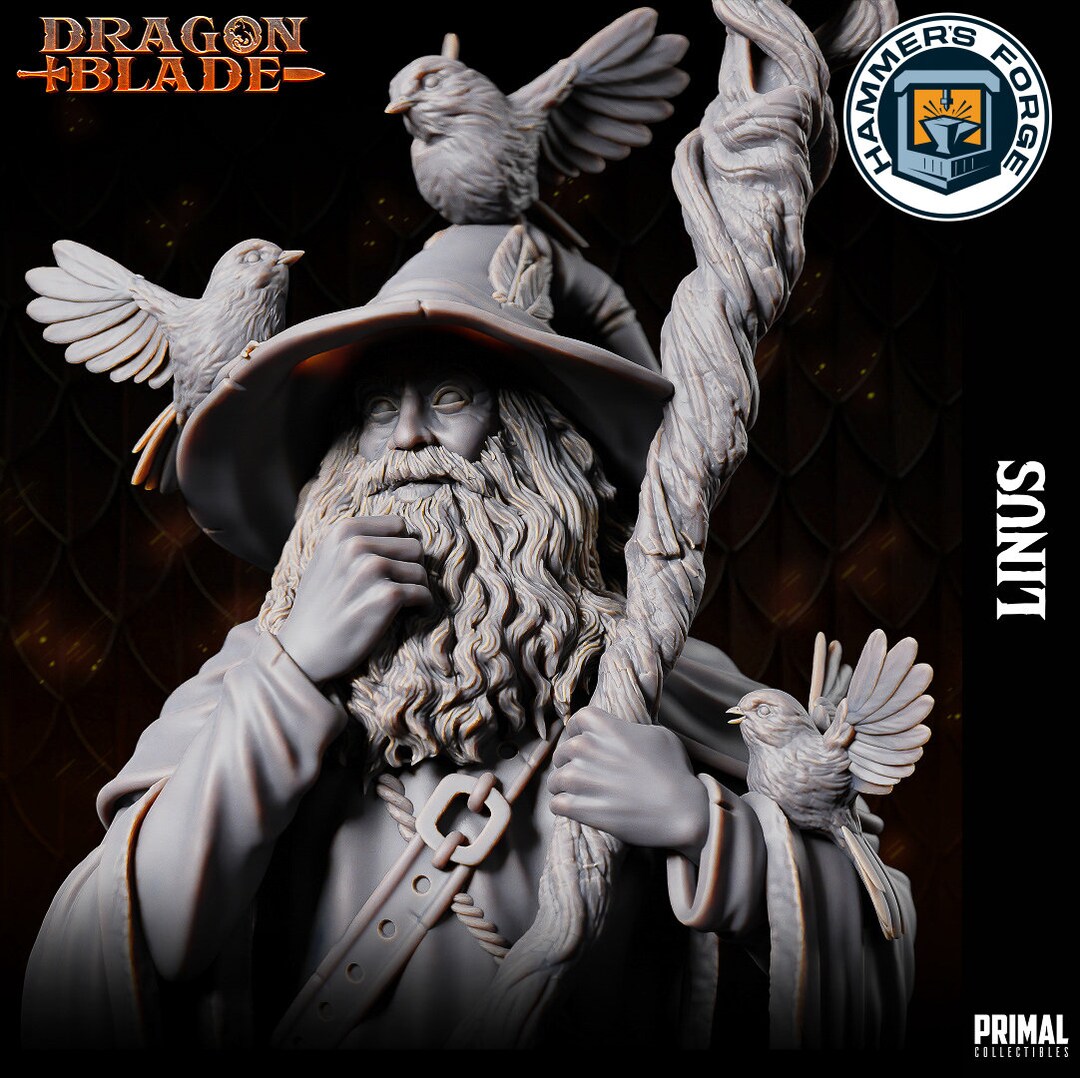 Human Male Wizard Miniature for D&D - TTRPG - 32mm Miniature - Linus ...