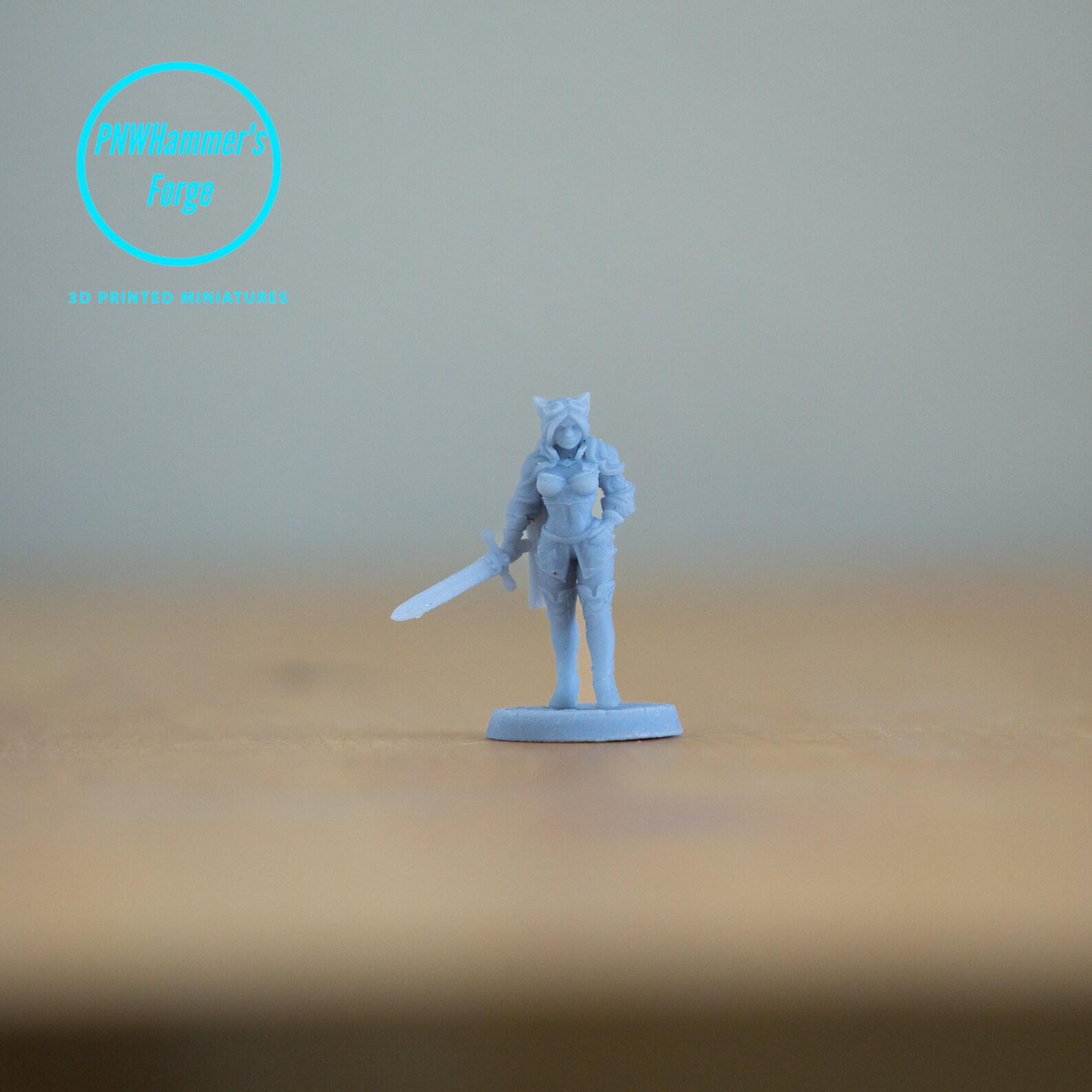 Ambar - Tabaxi Female - Soldier - Warrior - D&D - Sword - TTRPG - 32mm ...