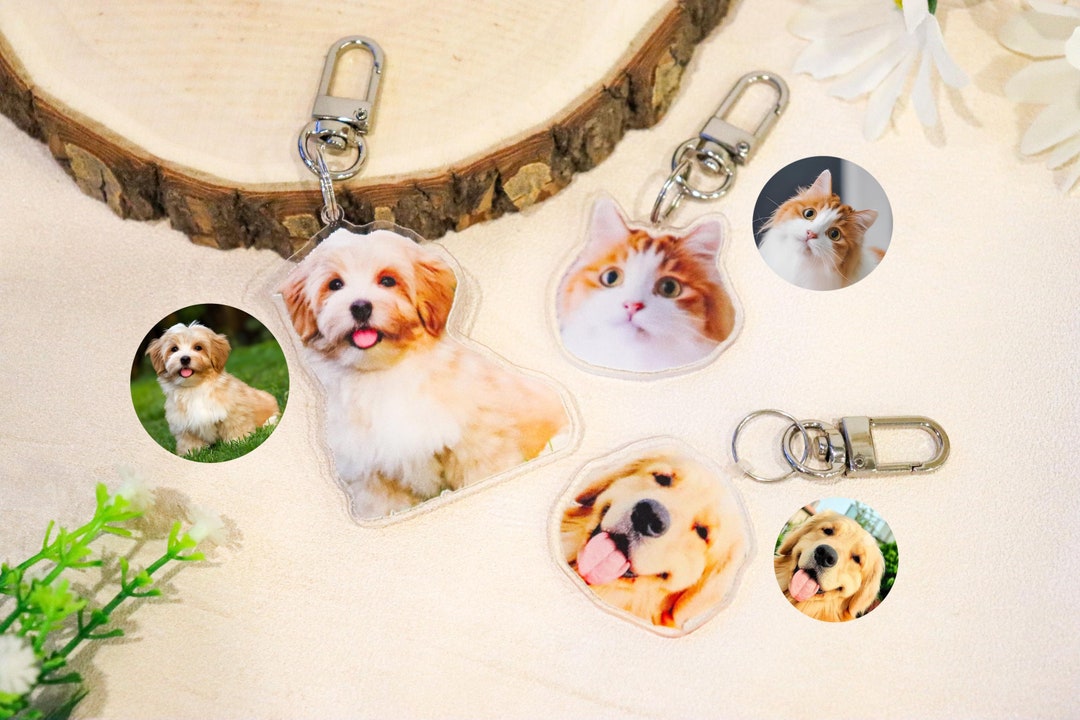 Personalized Customized Pet Photo Keychain, Acrylic Keychain, Cat/dog ...