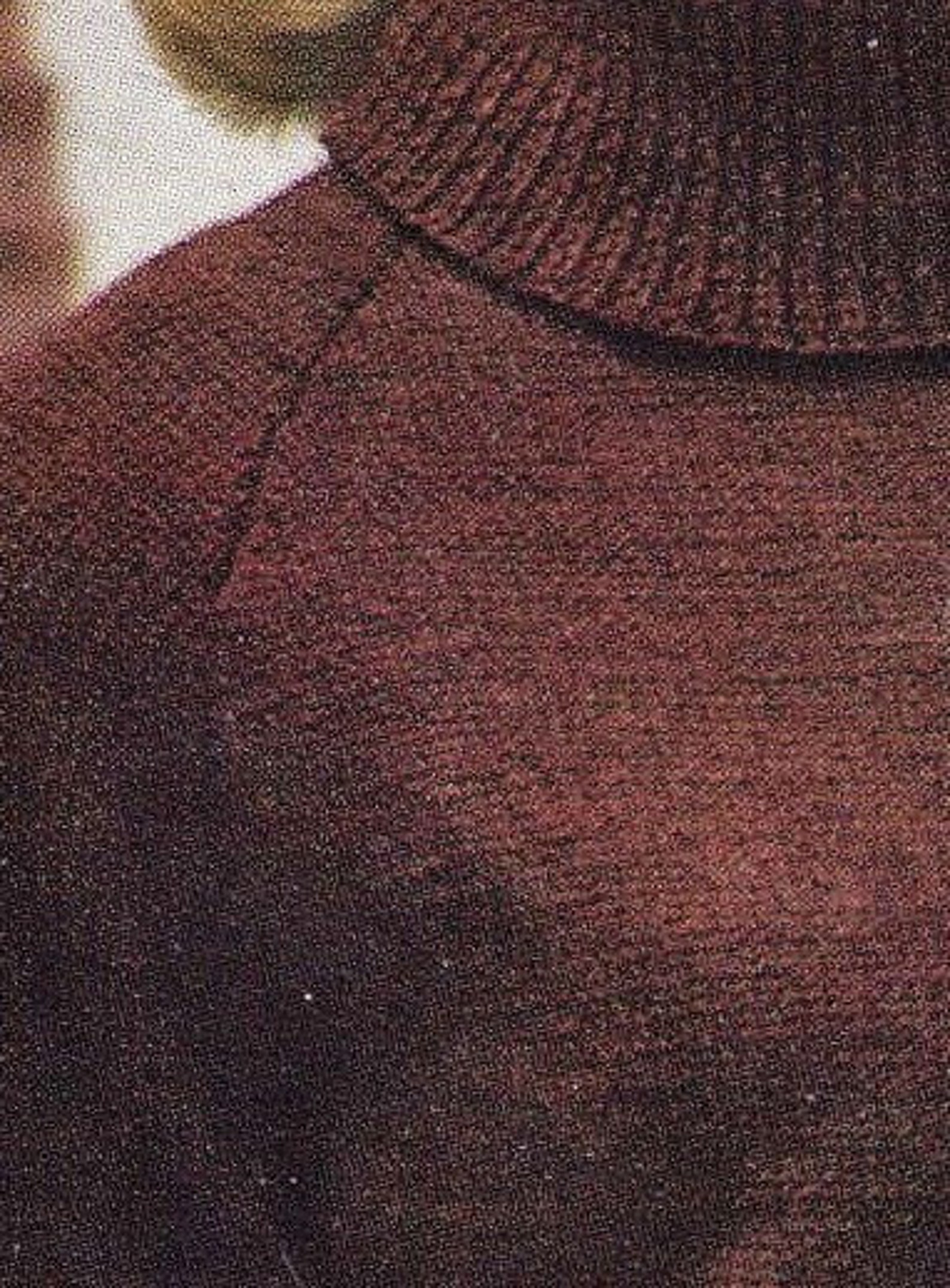 Ladies Stylish Raglan Sweater Dress With Roll Neck, Vintage Knitting ...