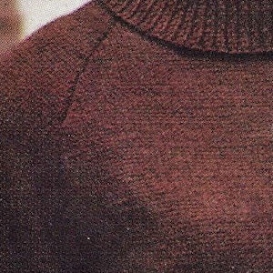 Ladies Stylish Raglan Sweater Dress With Roll Neck, Vintage Knitting ...