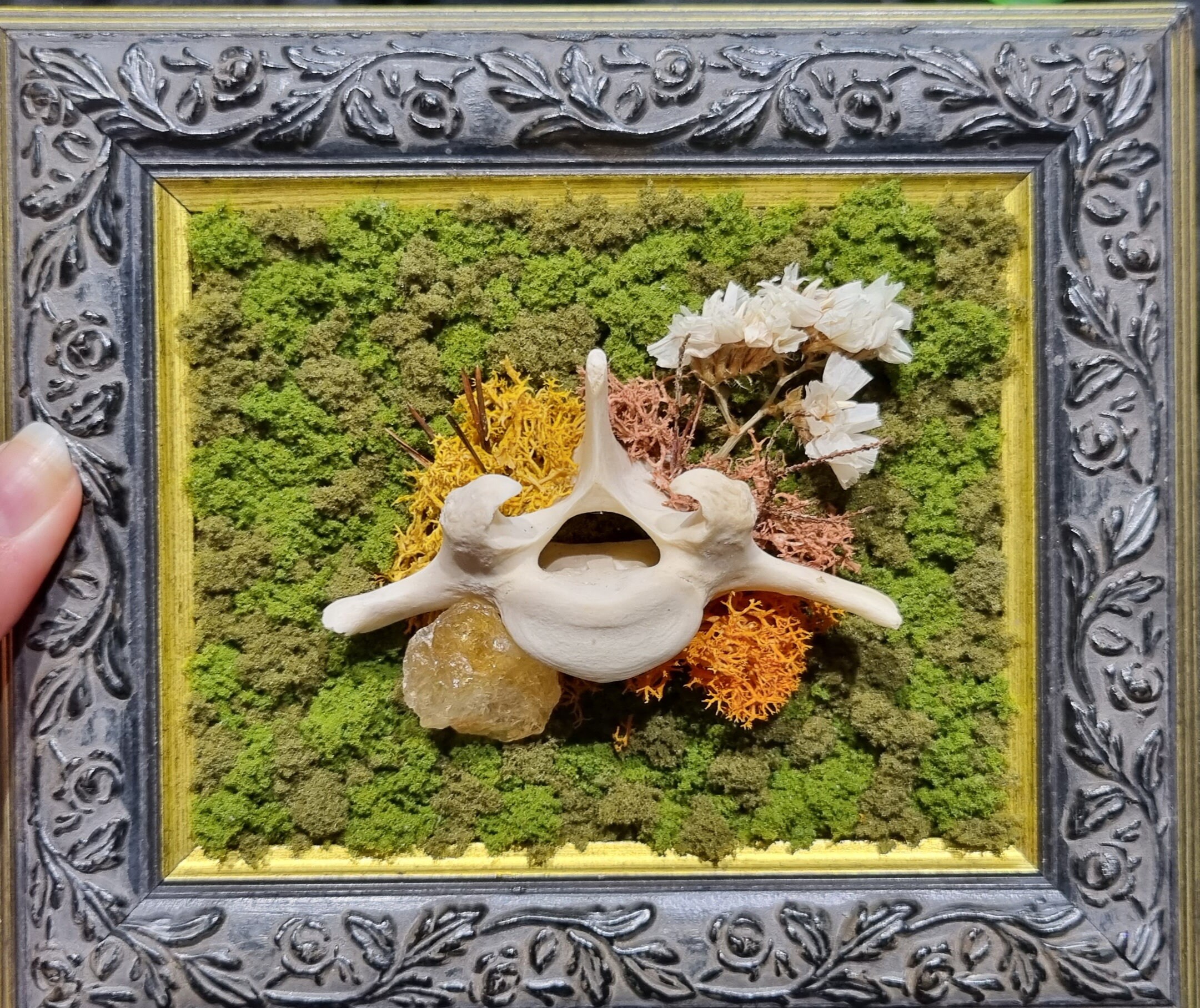 Taxidermy Bone and Flower Frame - Etsy UK
