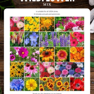 EARTH DAY FAVORS • Seed Packet • Wildflowers • Corporate Giveaways ...