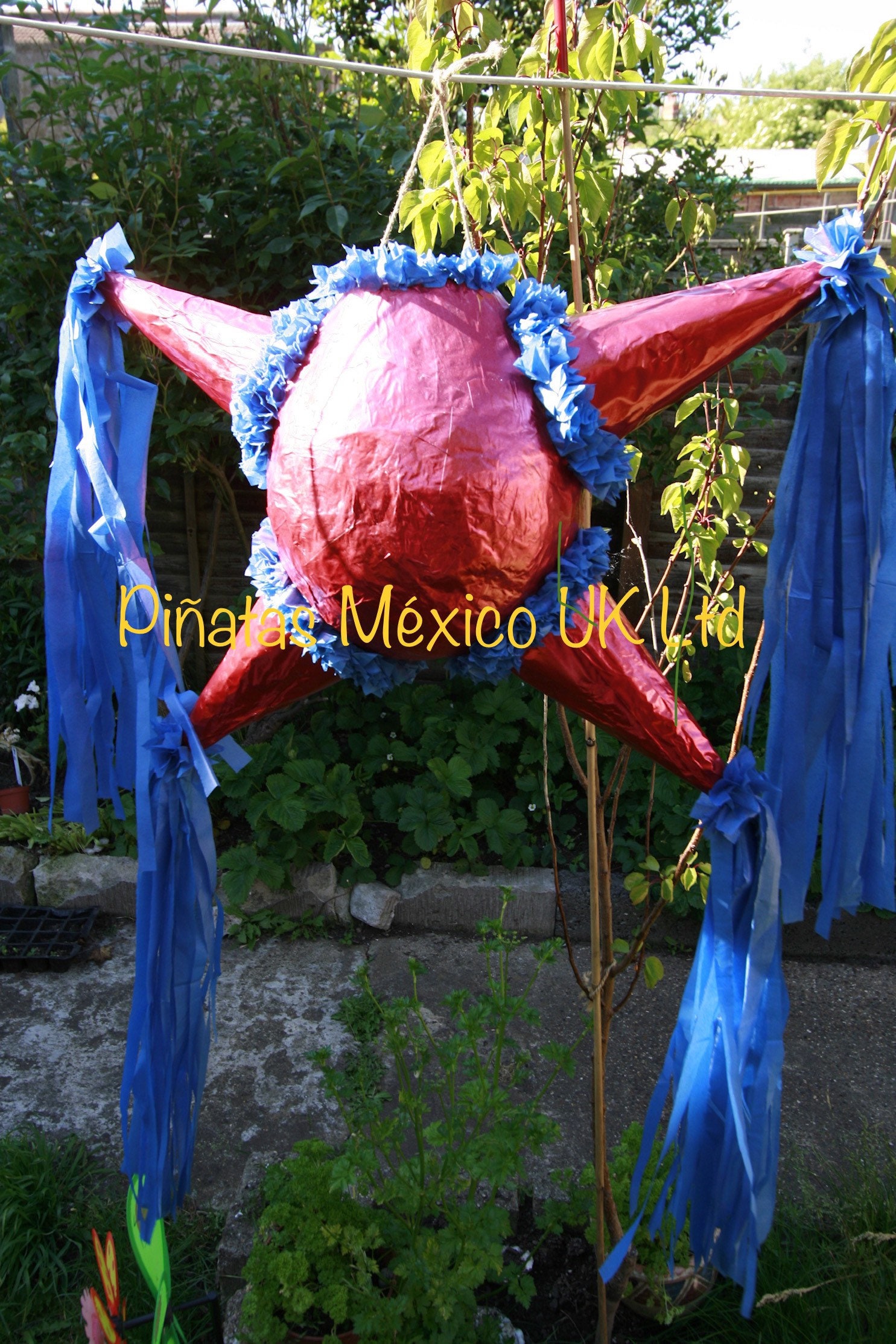 Star Piñata Traditional Star Mexican Pinata - Etsy