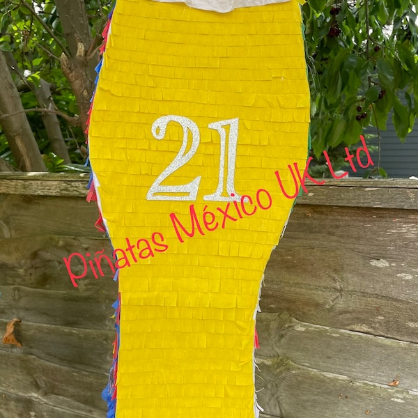 Beer Pinata - Etsy