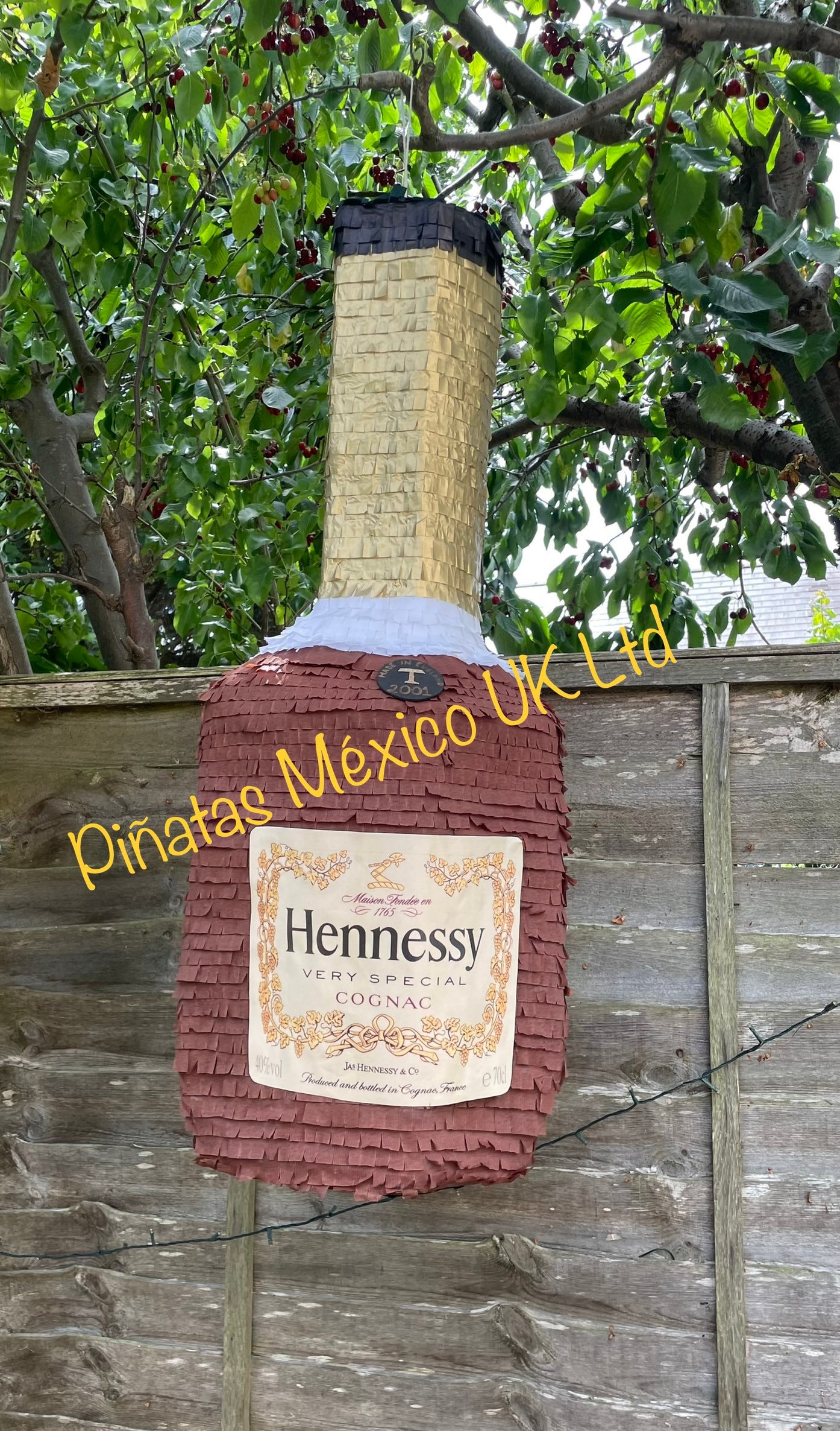 Large Hennessy Piñata Bottle Pinata 21st 18th Birthday Party - Etsy