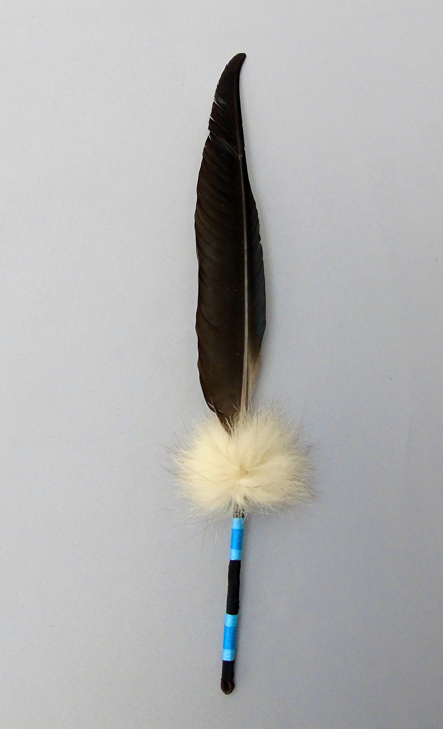 Raven Wing Smudge Prayer Ceremony Feather American Indians Style ...