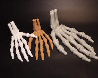 Flexi Skeleton Hand - Etsy