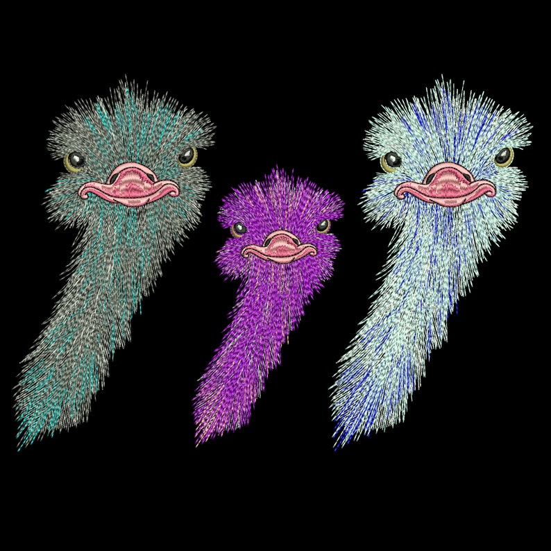 OSTRICH Embroidery Design - 2 Sizes Funny Looking Real Ostrich Bird ...