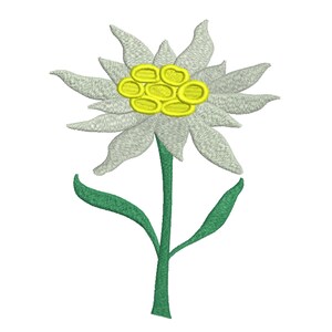 Edelweiss Embroidery Design 5 Sizes Big Edelweiss Machine Embroidery ...