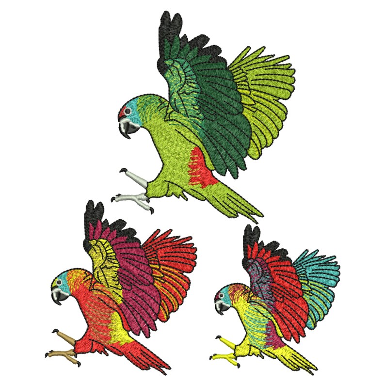 Parrot Embroidery Design - 3 Sizes -tropical Fyling Bird Parrots ...