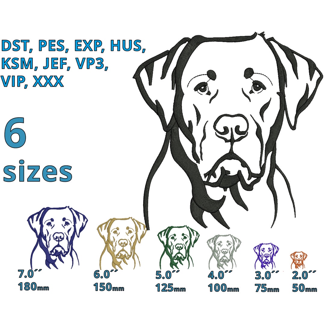 Labrador Embroidery Design 6 Sizes, Lovely Dog Head Machine Embroidery ...