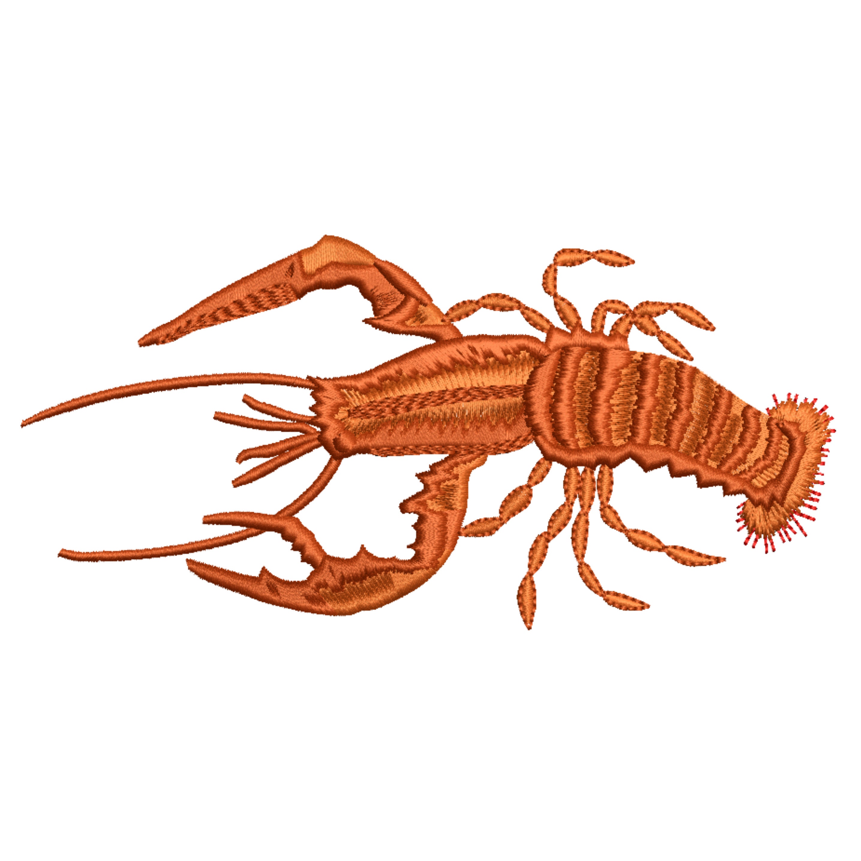 Crawfish Embroidery Design 4 Sizes Lobster Machine Embroidery - Etsy
