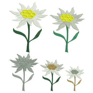 Edelweiss Embroidery Design 5 Sizes Big Edelweiss Machine Embroidery ...