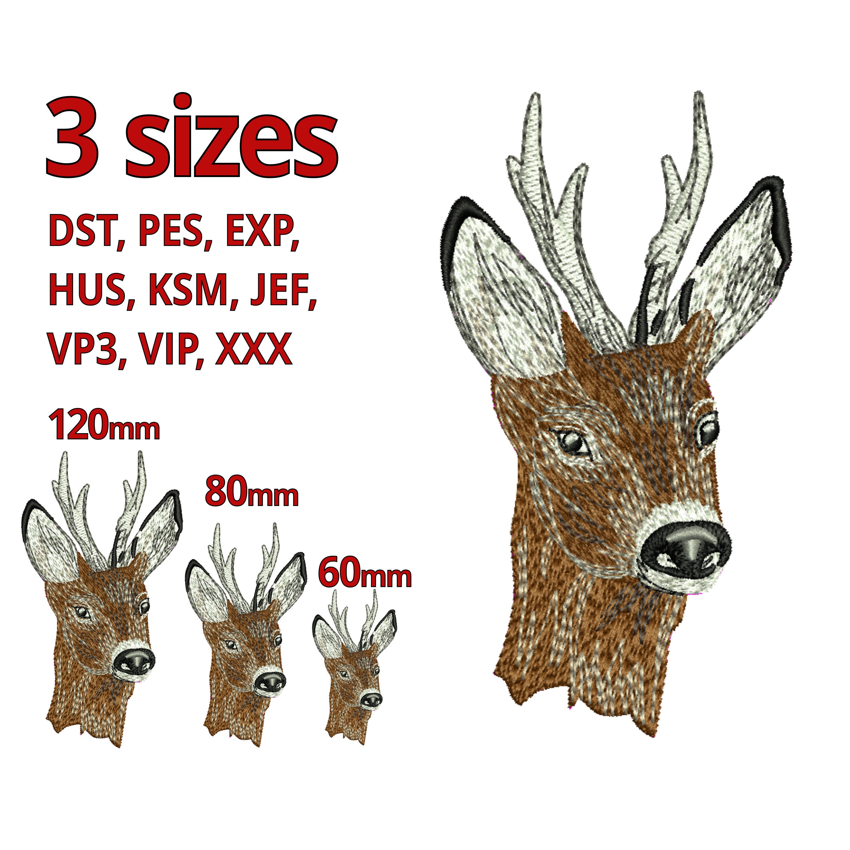 Female White Tailed Deer Drawing