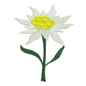 Edelweiss Embroidery Design 5 Sizes Big Edelweiss Machine Embroidery ...