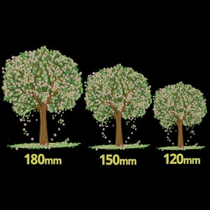 TREE Embroidery Design 3 Sizes - Spring Time Tree of Life - Blossom ...