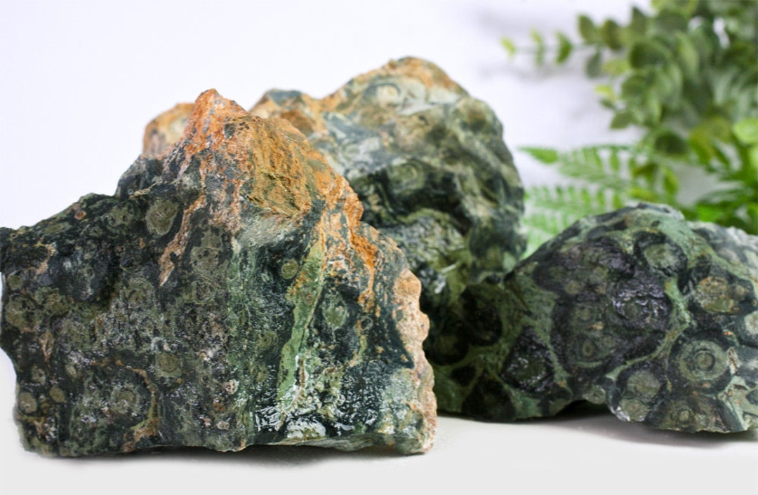 Kambaba Jasper Eldarite Rough Stone Large Kambaba Jasper Rough Stone ...