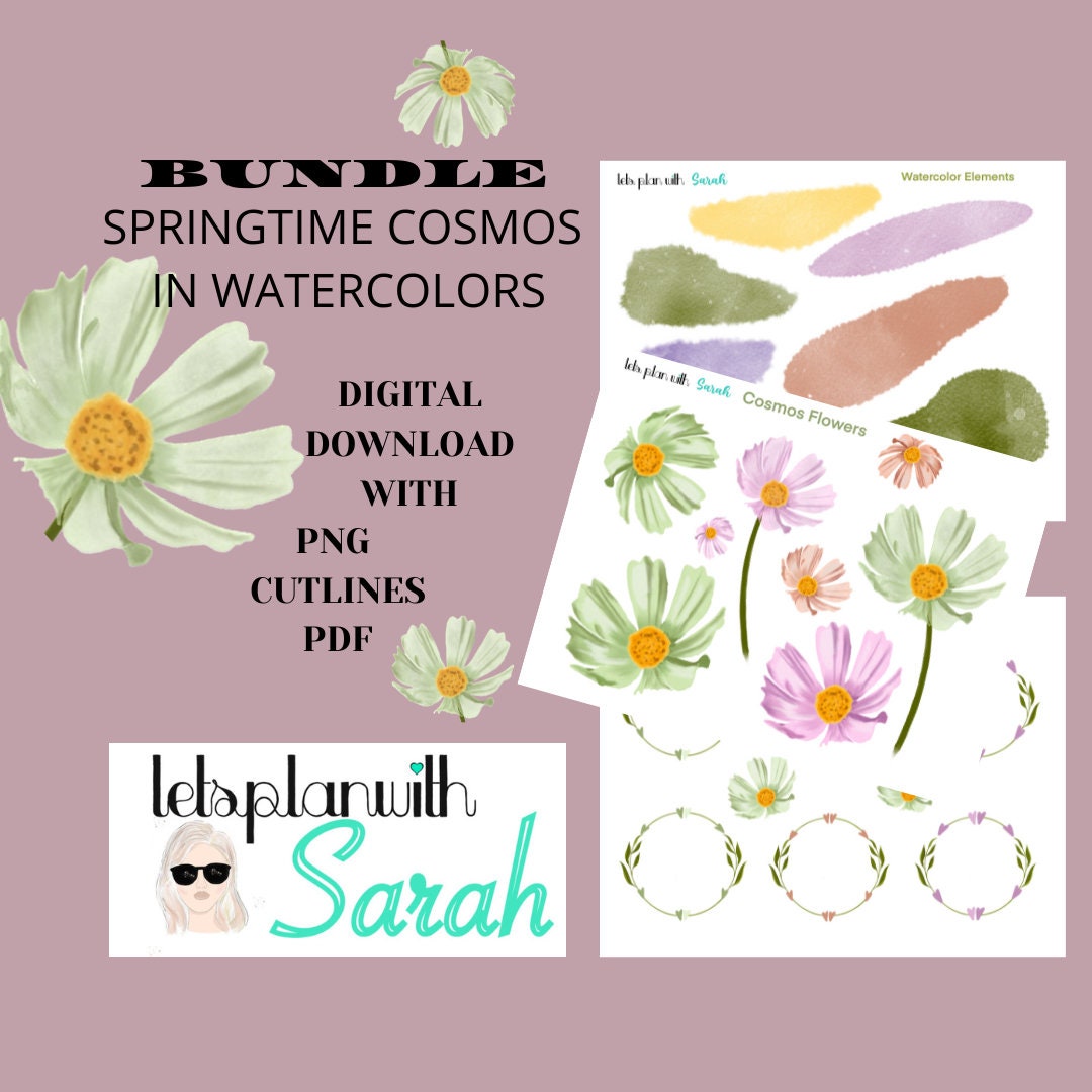 SPRINGTIME COSMOS BUNDLE Flowers, Boxes and Watercolor Elements for ...