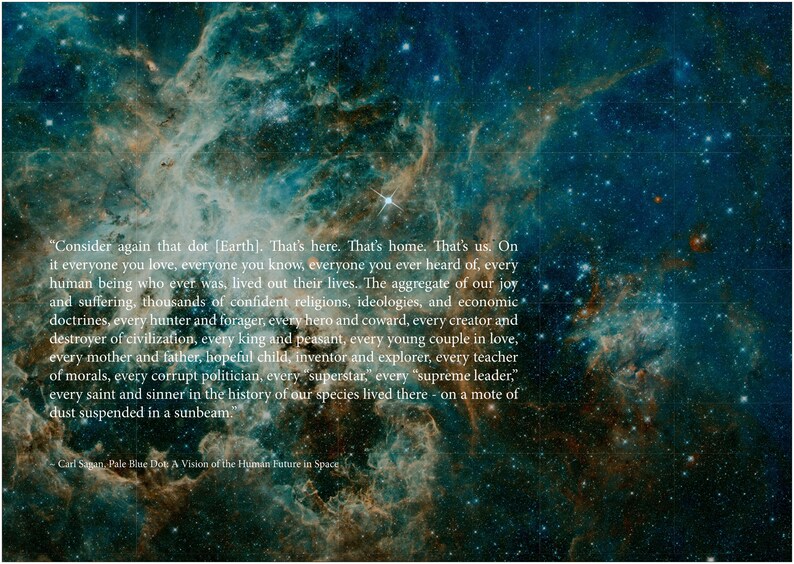 Carl Sagan the Pale Blue Dot Inspirational Quote Large Poster | Etsy