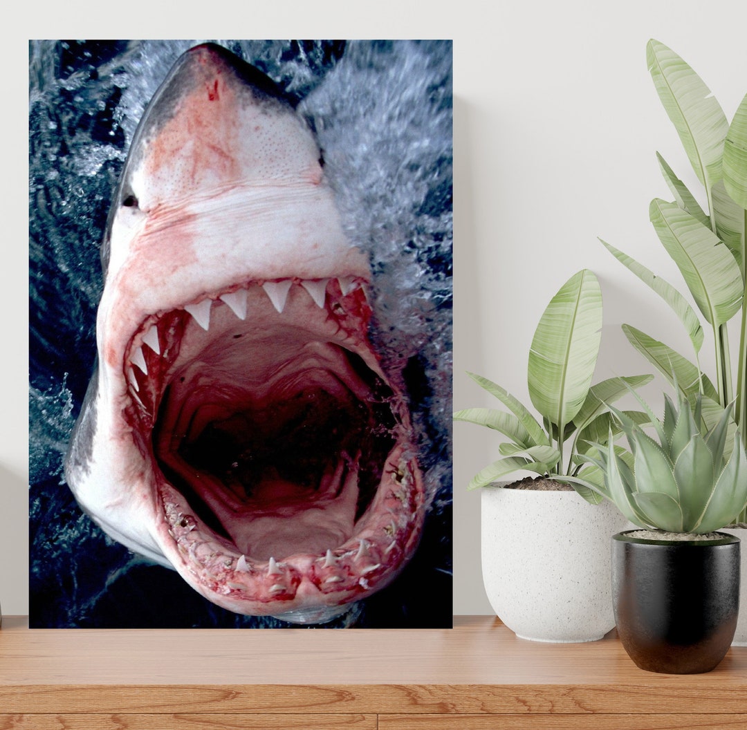 Great White Shark Nature Large Poster Art Print Gift A0 A1 A2 A3 A4 A5 ...