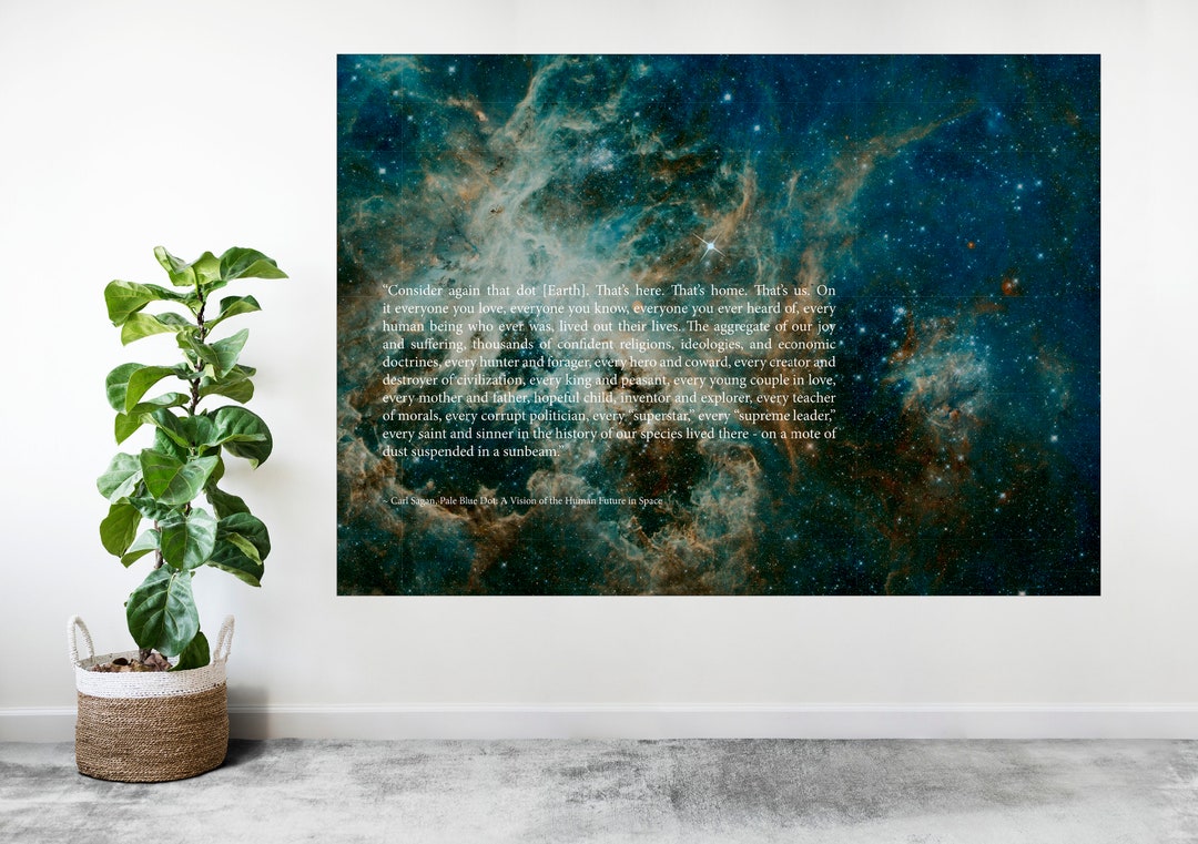 Carl Sagan the Pale Blue Dot Inspirational Quote Large Poster Black ...