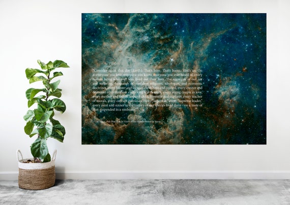 Carl Sagan the Pale Blue Dot Inspirational Quote Large Poster | Etsy