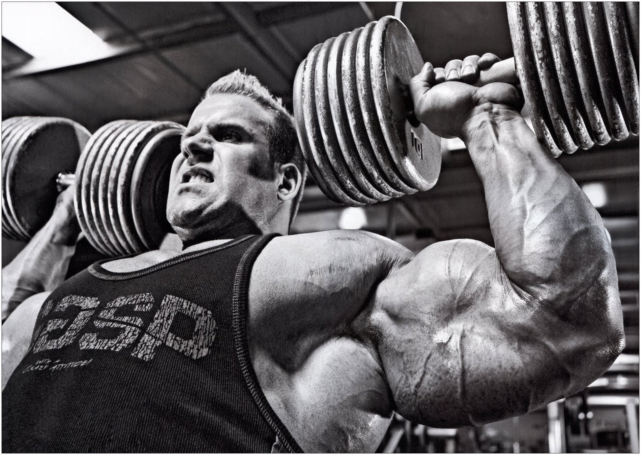 Jay Cutler Bodybuilding Gym Muscles Inspirational Large Poster Art ...
