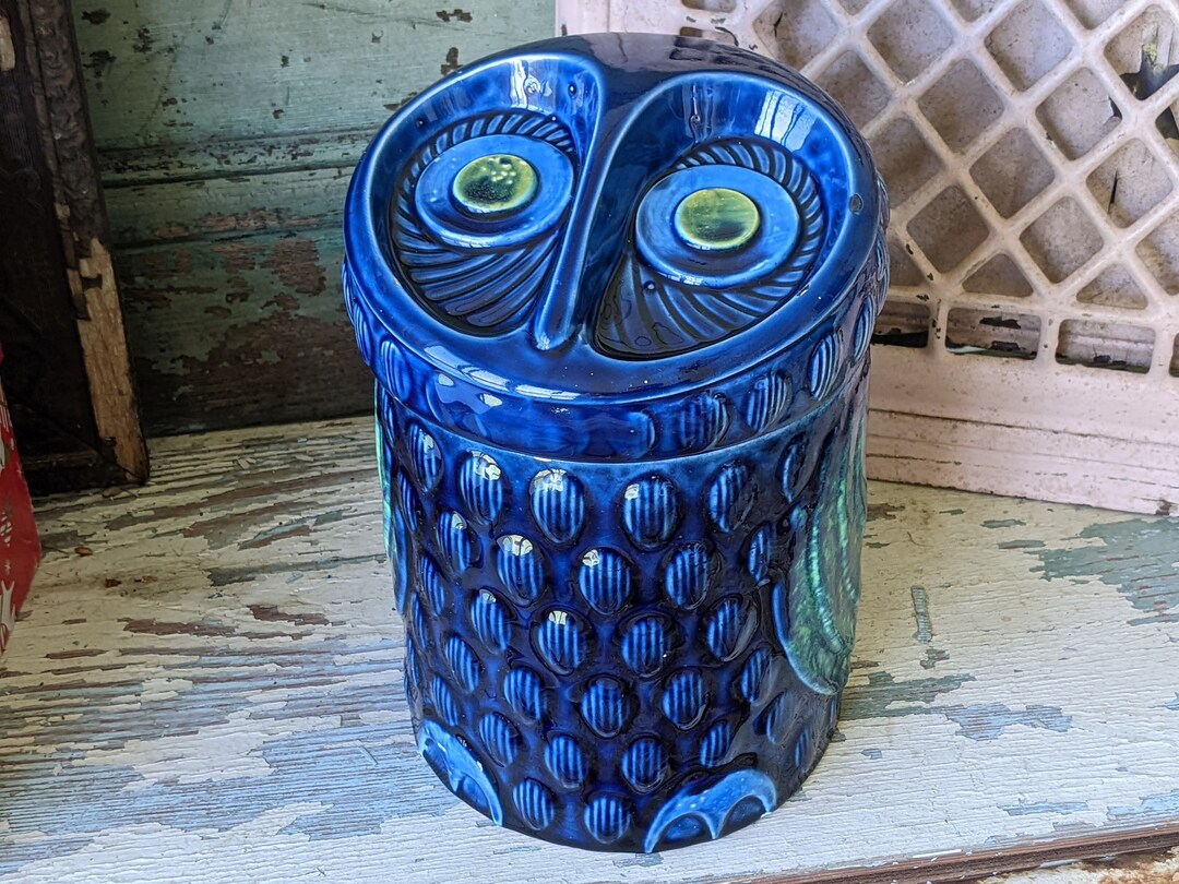 Vintage Rare Blue Owl Cookie Jar Storage Starry Night - Etsy
