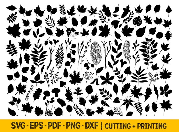 Leaves Svg Files for Cricut Leaf Svg Bundle 130 Pcs Autumn - Etsy