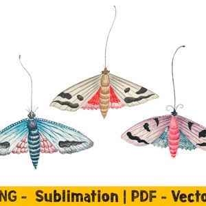 Watercolor Butterfly Clipart, Vintage Butterflies Png, Vintage Png ...