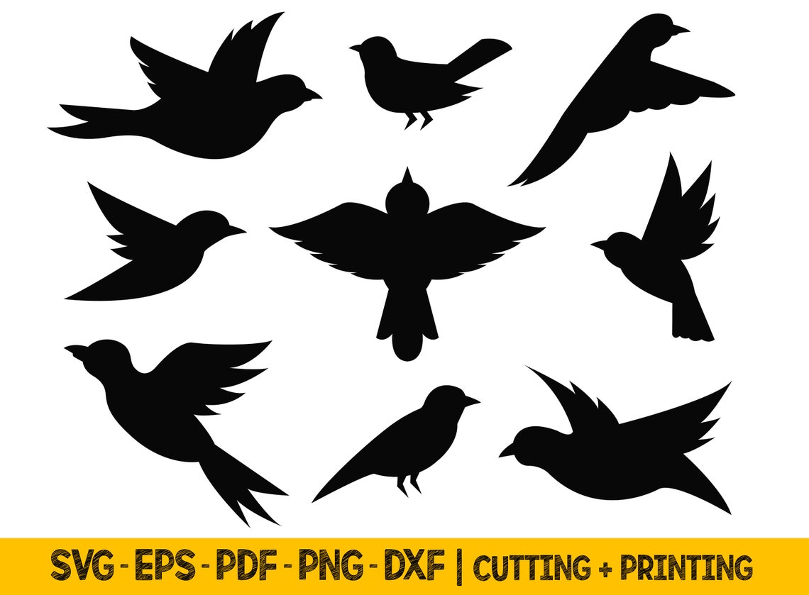 Bird Svg Files for Cricut Bird Clipart Vector Birds Svg - Etsy