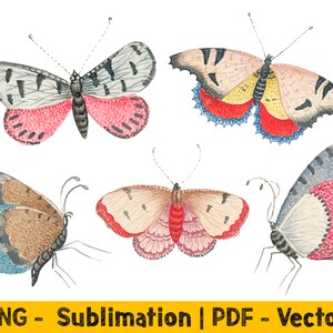 Watercolor Butterfly Clipart, Vintage Butterflies Png, Vintage Png ...