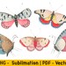 Watercolor Butterfly Clipart, Vintage Butterflies Png, Vintage Png ...