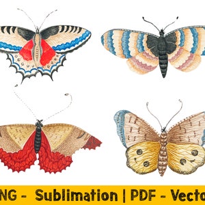 Watercolor Butterfly Clipart, Vintage Butterflies Png, Vintage Png ...