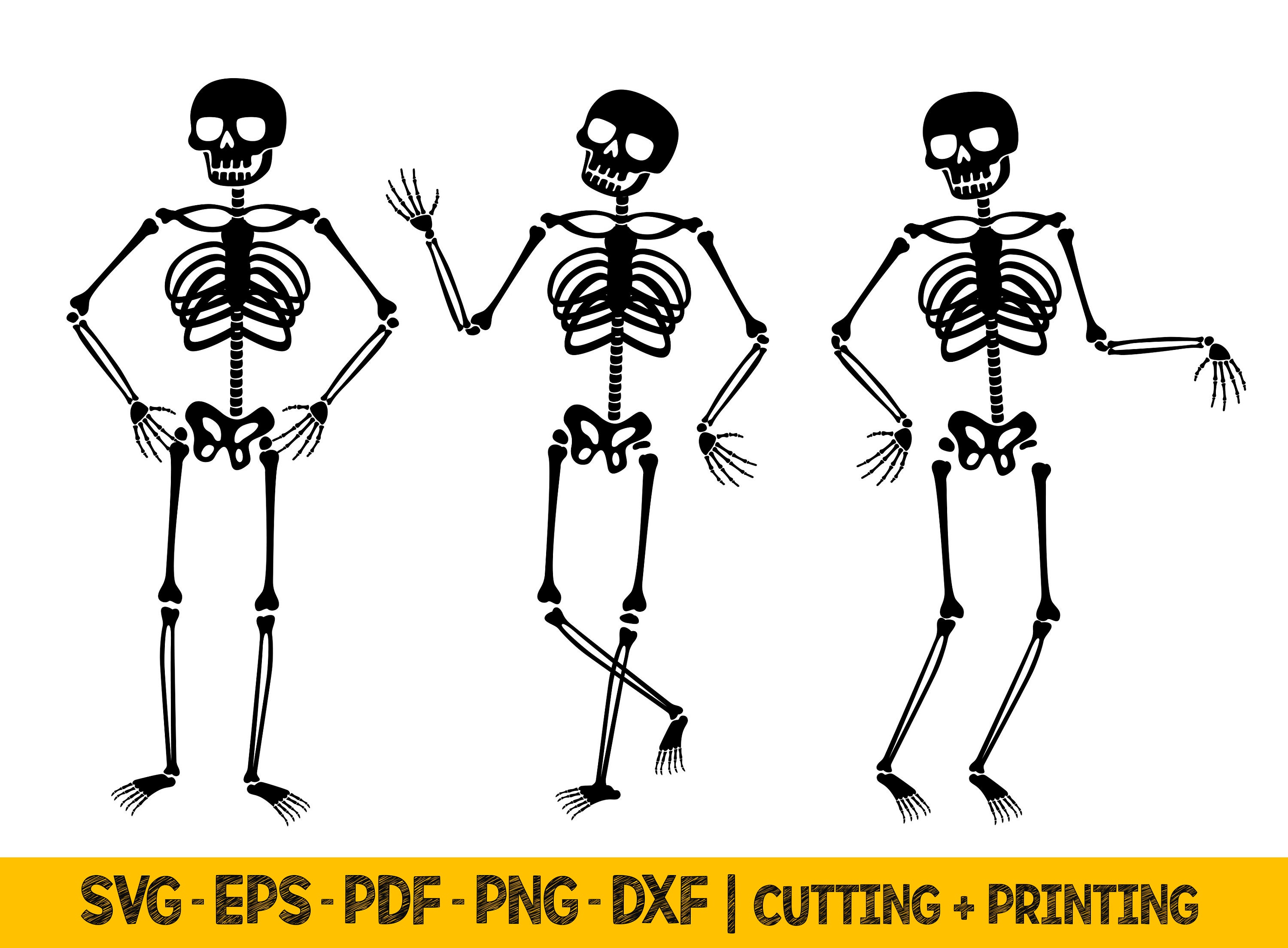 Dancing Skeleton Svg Files for Cricut Skeleton Svg File - Etsy