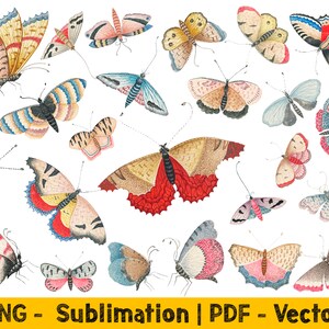 Watercolor Butterfly Clipart, Vintage Butterflies Png, Vintage Png ...