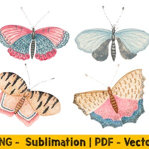Watercolor Butterfly Clipart, Vintage Butterflies Png, Vintage Png ...