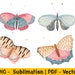 Watercolor Butterfly Clipart, Vintage Butterflies Png, Vintage Png ...