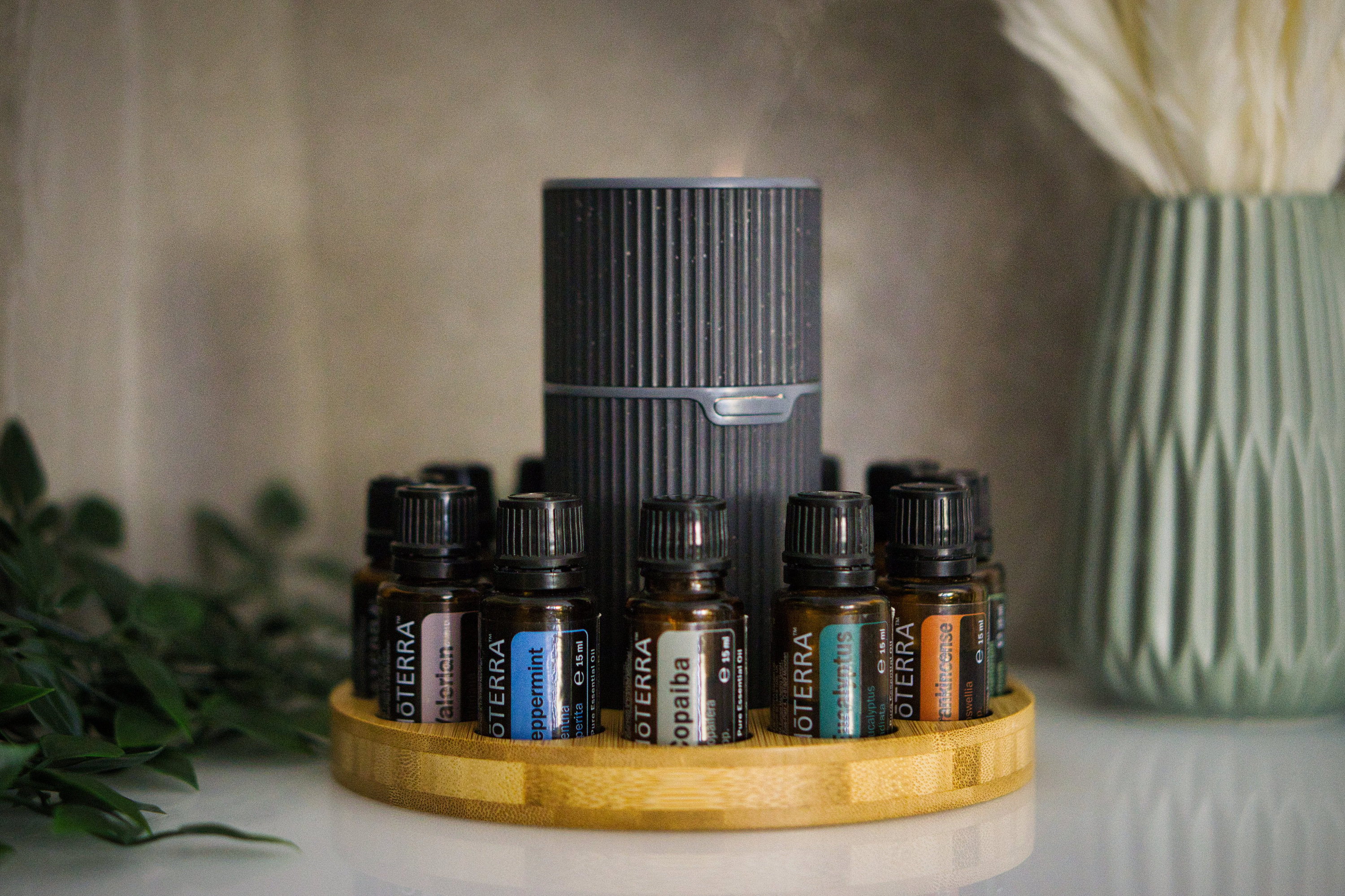 Oil Stand CIRCLE in a Circle Shape for 12x 15ml Doterra Oils - Etsy