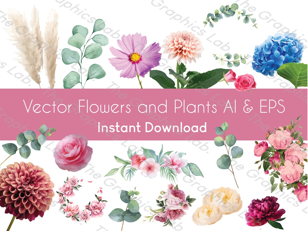 Watercolor Flowers Vector Clip Art, Realistic AI and EPS, Flower and ...