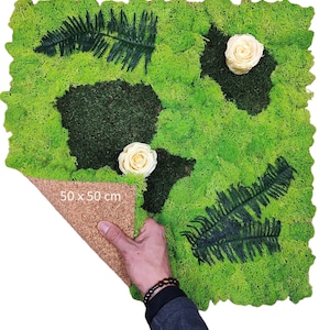 Moss Panel With White Rose, Preserved Reindeer Moss Wall, Handmade Moss,stabilized Light Green ...