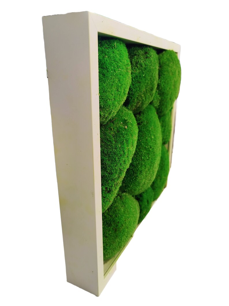 Stabilized Lichen Rectangular Framework Amazing Green With White Frame 37 X 37 Cm. Scandinavian ...