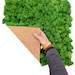MOSS PANEL, PRESERVED Moss, Reindeer Moss, Handmade Moss Panel ...