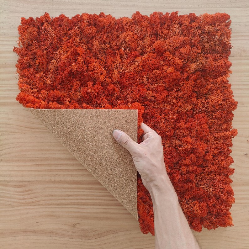 MOSS PANEL, PRESERVED Moss Wall, Reindeer Moss, Handmade Moss Panel, Stabilized Orange 50 X 50 ...